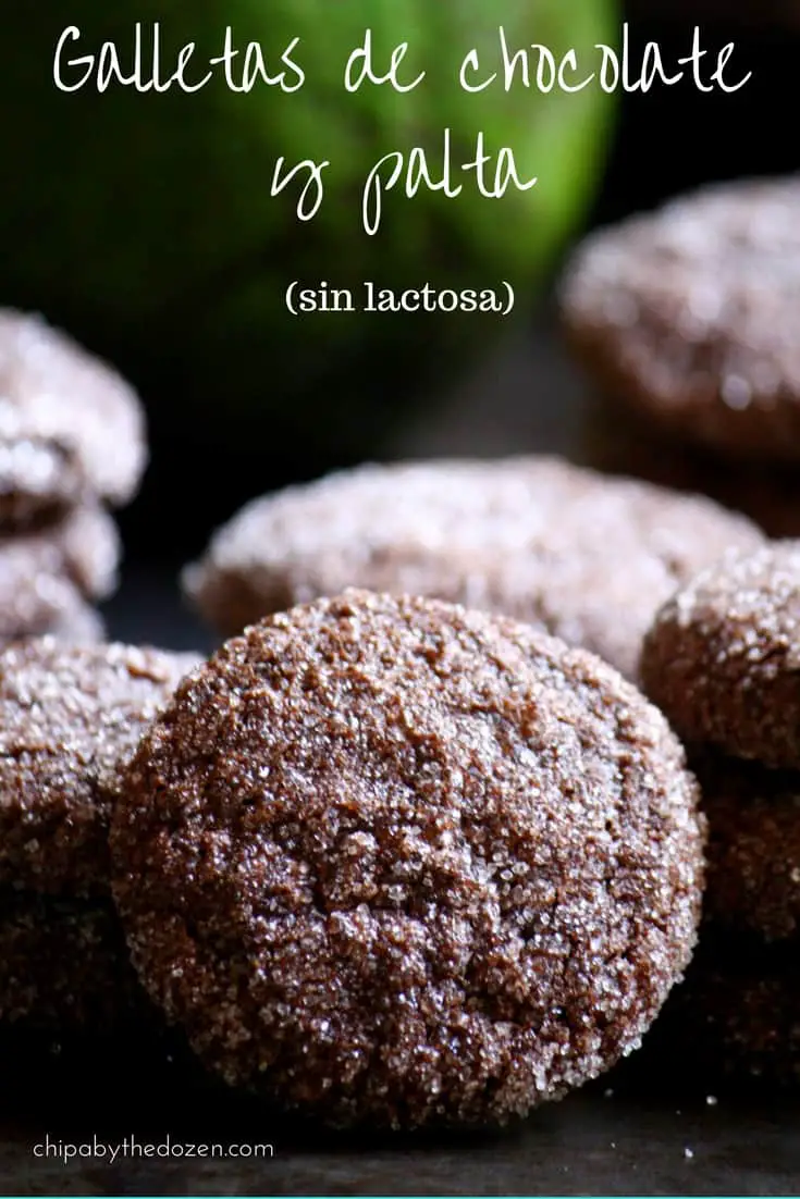 Galletas de Chocolate y Palta (sin lactosa) - Chipa by the Dozen