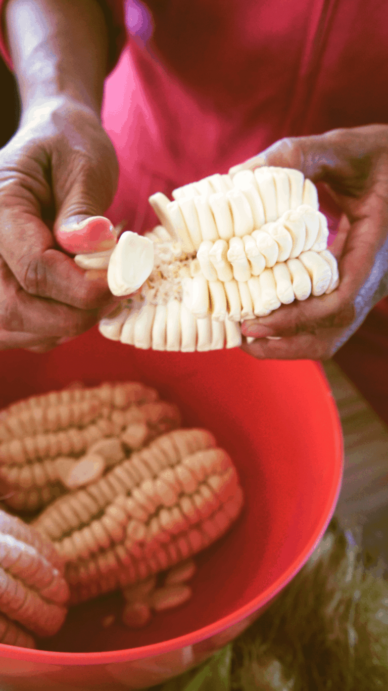 Humintas a la Olla (Receta Boliviana) - Chipa by the Dozen